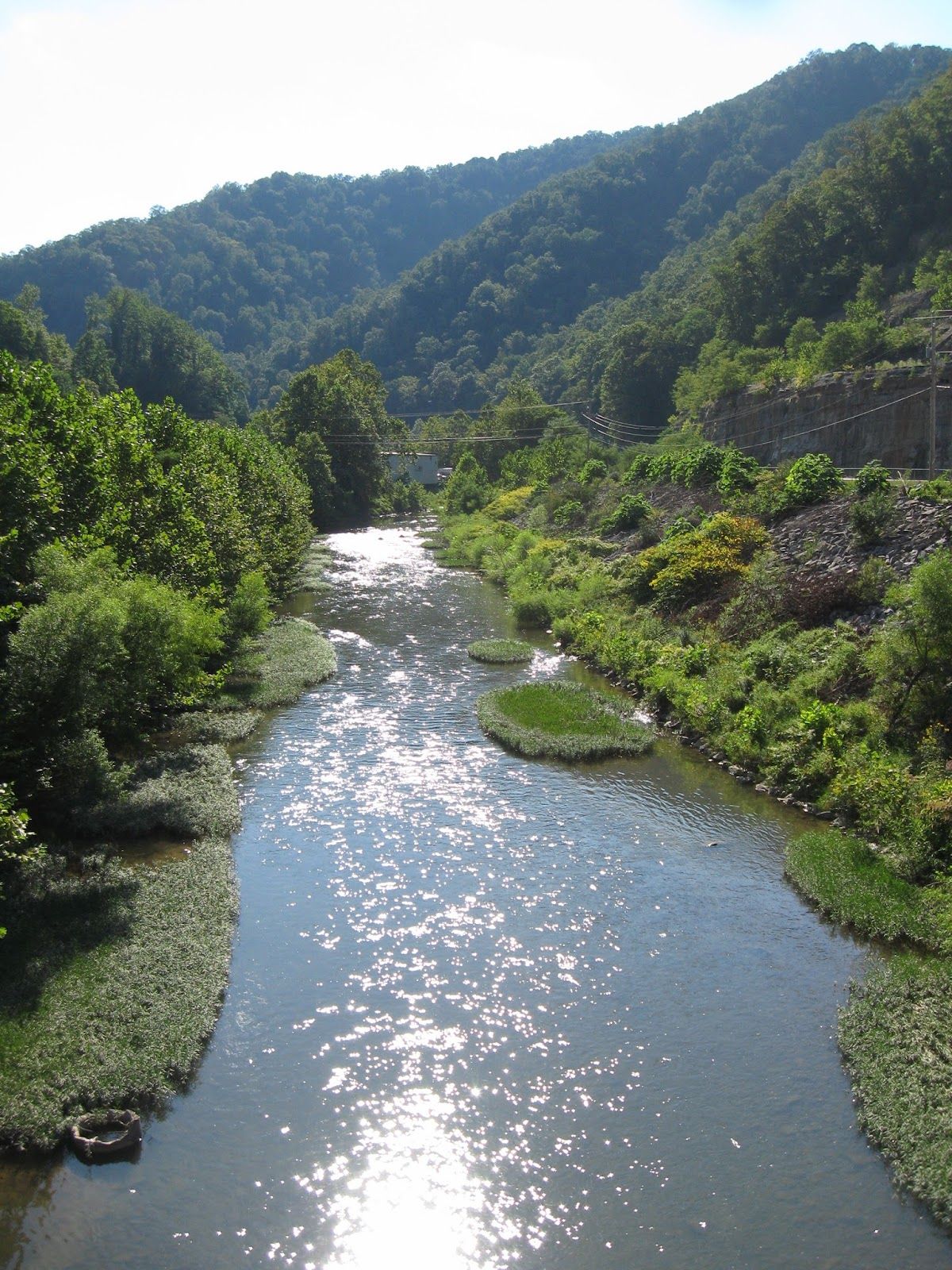 Photo Album – Levisa River Chapter, NSDAR